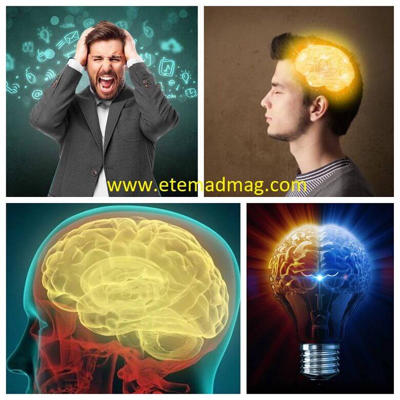 تقویت حافظه افزایش هوشیاری ذهن افزایش تمرکز و عملکرد مغز اعتماد مگ